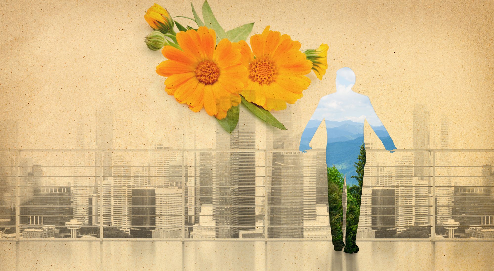 Why it Matters that "Authentic" is Merriam-Webster’s Word of the Year