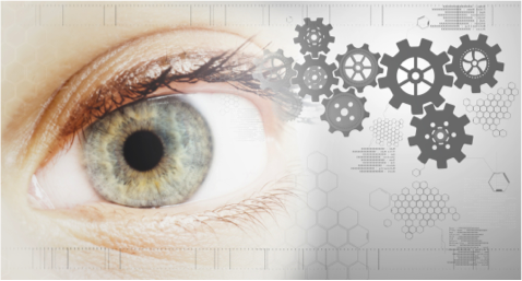 How To Create Line of Sight For Your Employees